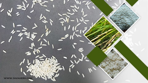 Domsiah rice | Rice dealer accurate price list November 6, 2025