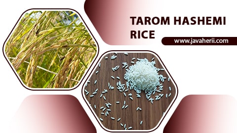 high-quality Tarom Hashemi rice price 1kg